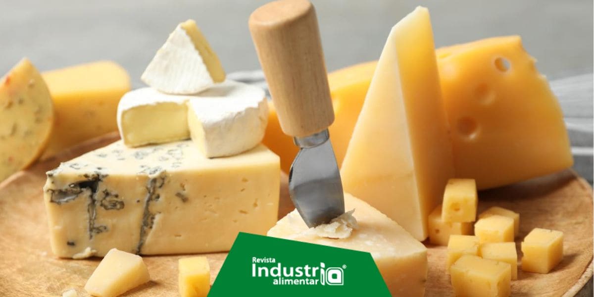 ¿Cómo conservar el queso para que no se ponga duro?