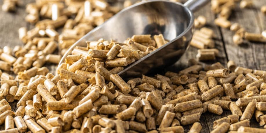 ¿Qué son los pellets y qué tipos existen?