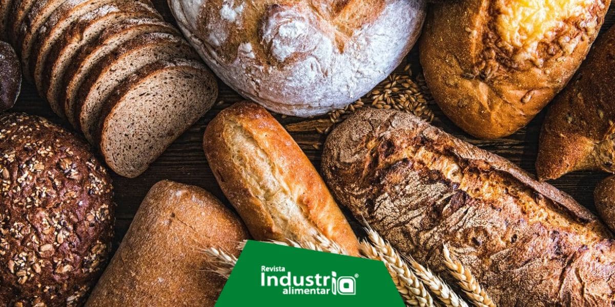 ¿Qué tipo de pan es realmente el más saludable?