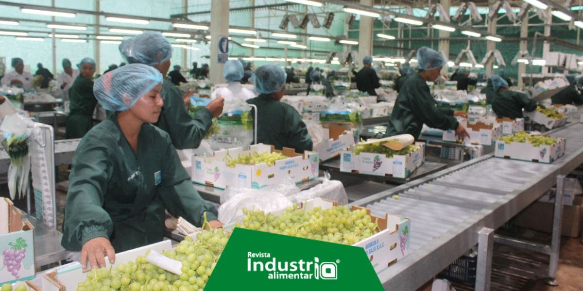Agroexportaciones buscan obtener nuevos récords este año