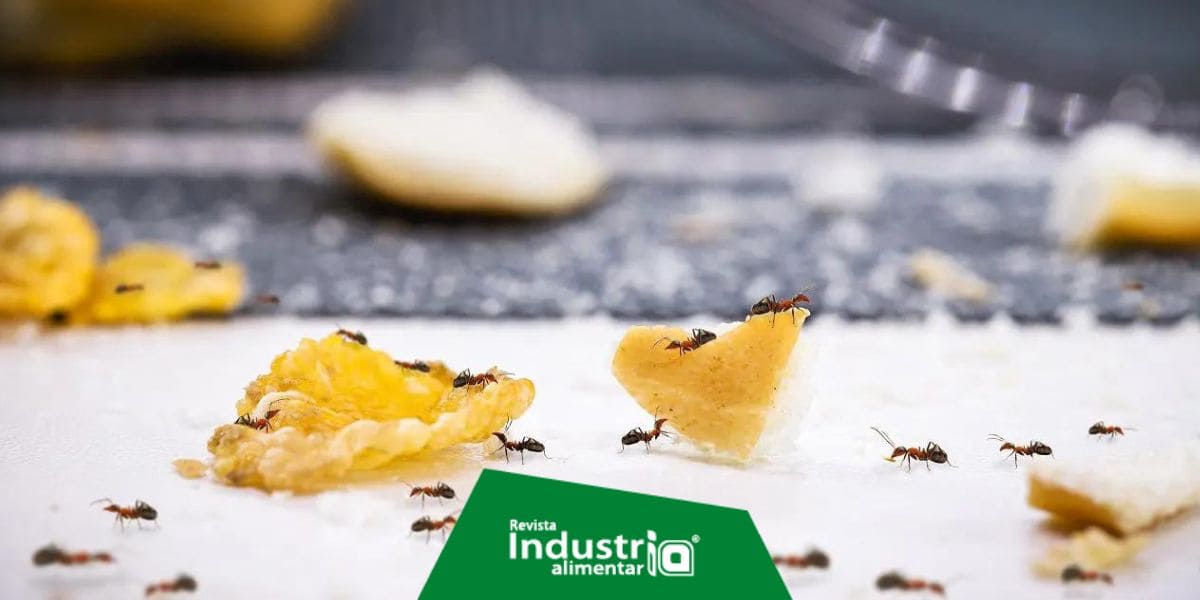 Así se logra el control de plagas en la industria alimentaria