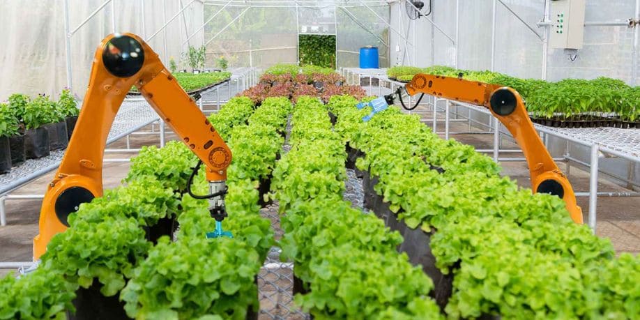 Ciencia, innovación y tecnología en la agricultura, claves para ...