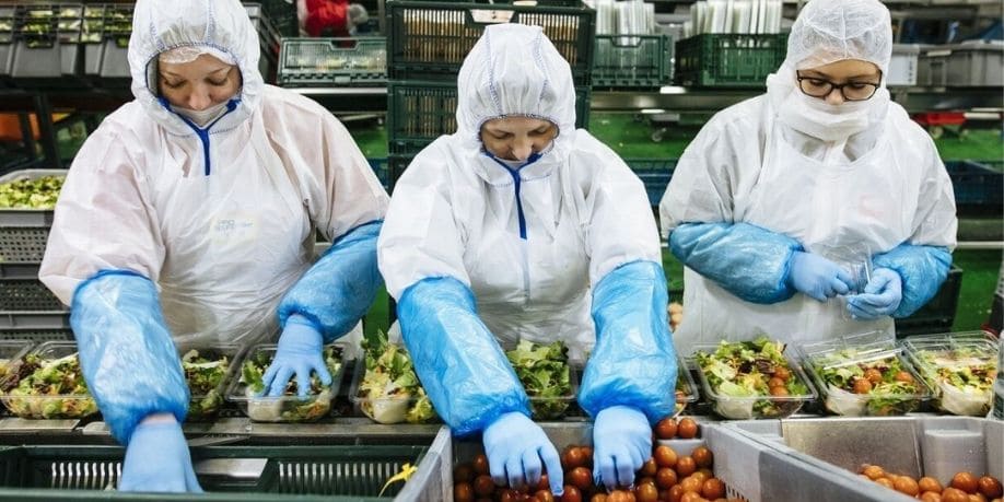 Competitividad empresarial: 5 estrategias para la industria de alimentos