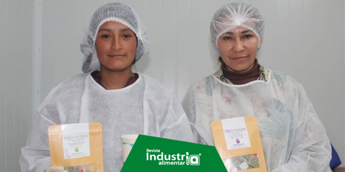 Comunidades de los páramos de Piura innovan con bebida filtrante a base ...