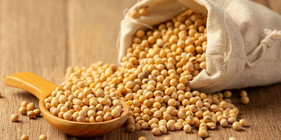 Conoce la influencia de la soya en la industria alimentaria