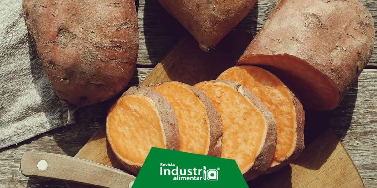 Crean una harina de camote más nutritiva y sin gluten