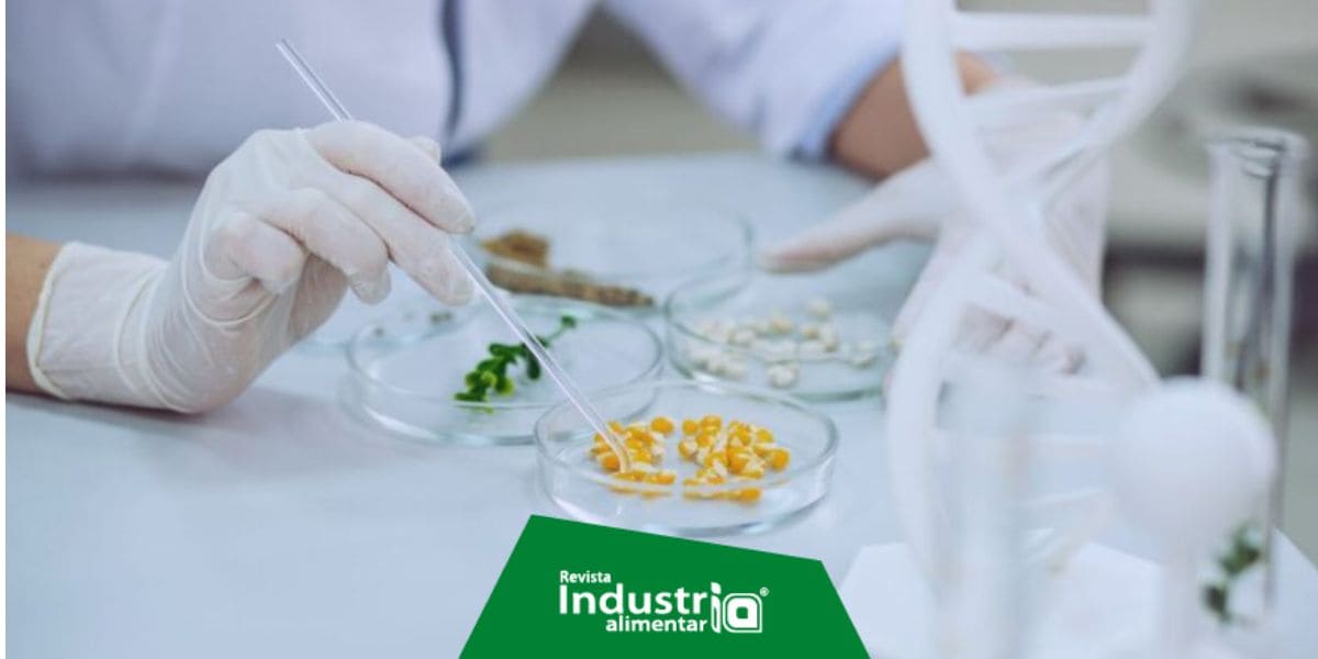 Criterios microbiológicos según el Codex Alimentarius