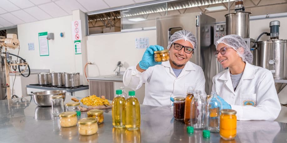 El valor del sector industrial y alimentario en el Perú