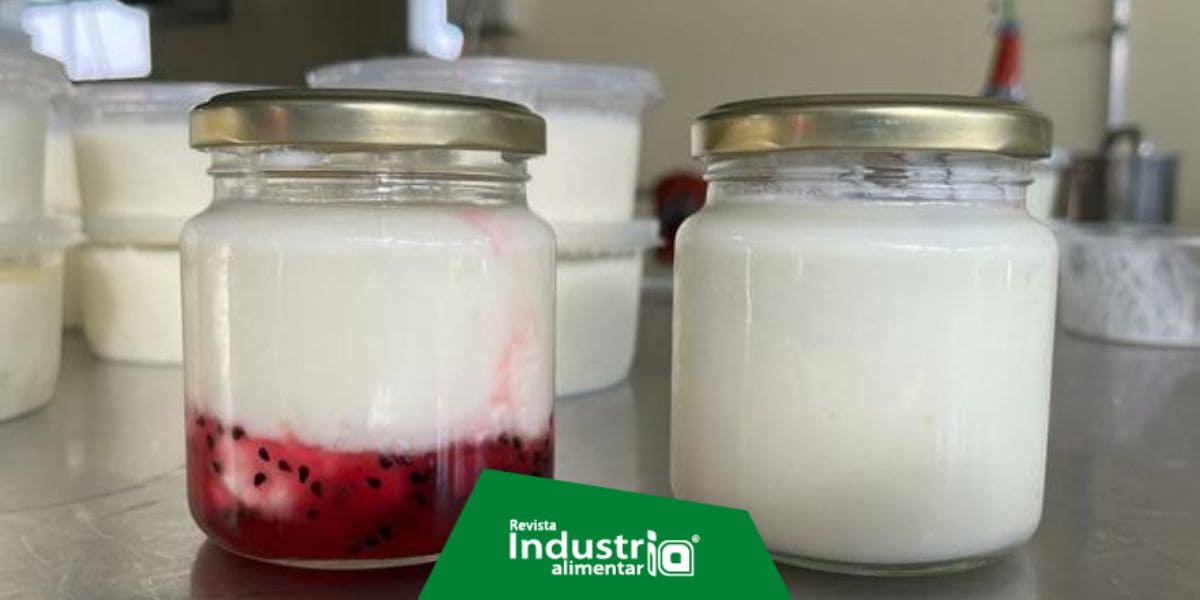 Elaboran yogurt griego con pitahaya rico en proteínas y vitamina C