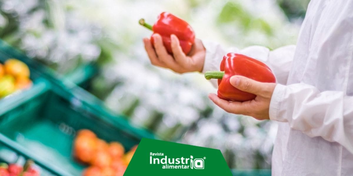 Estos son los cambios en la Norma BRCGS Food Safety versión 9