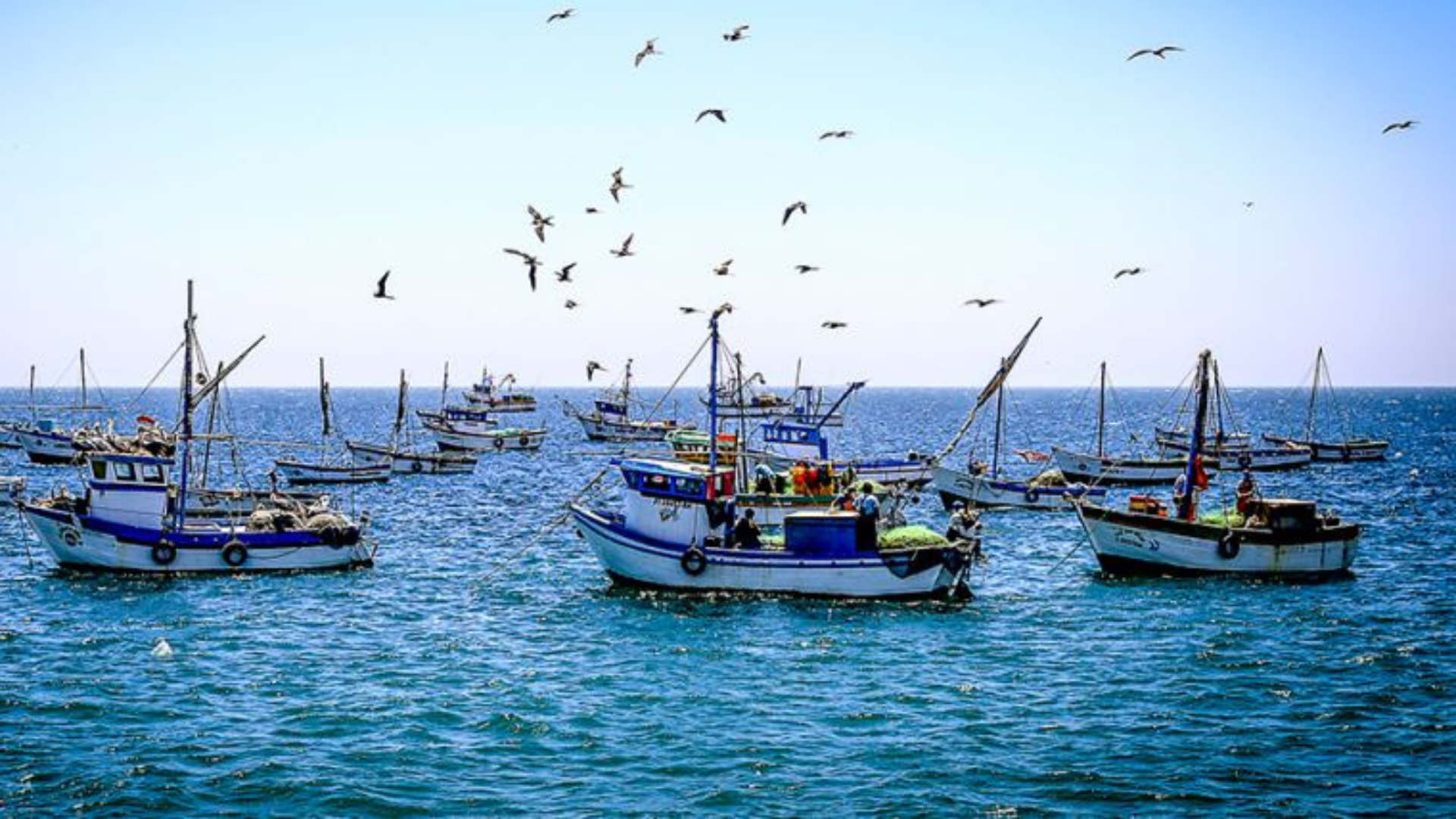 Produce extiende el plazo para adecuar infraestructuras pesqueras y ...