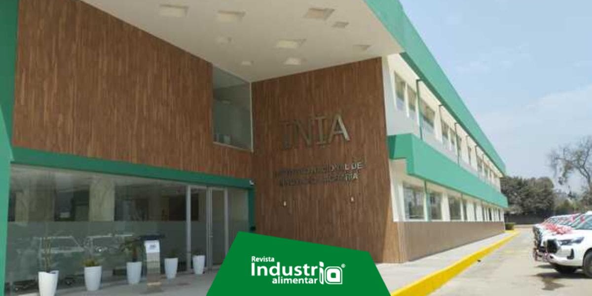 INIA implementa moderna infraestructura agrícola para incrementar ...