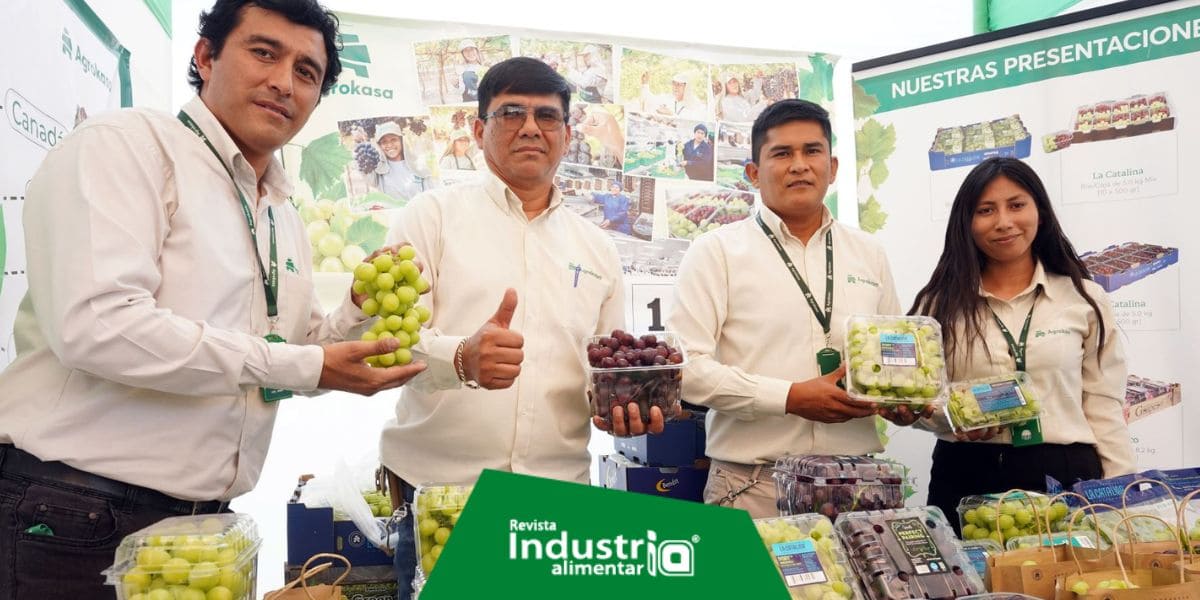 Ica se consolida como la primera región exportadora de uva de mesa