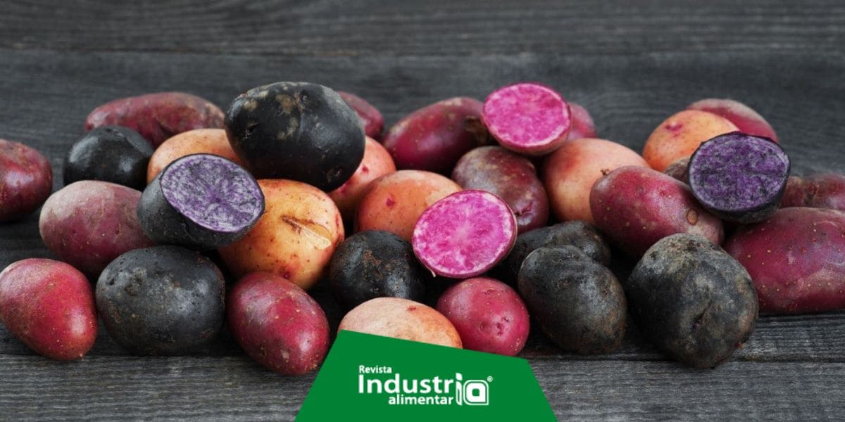 Investigadores peruanos desarrollan un bioplástico para alimentos hecho ...