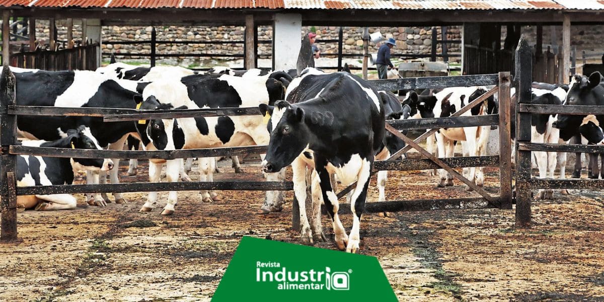 La ganadería representa uno de los principales pilares de la industria ...