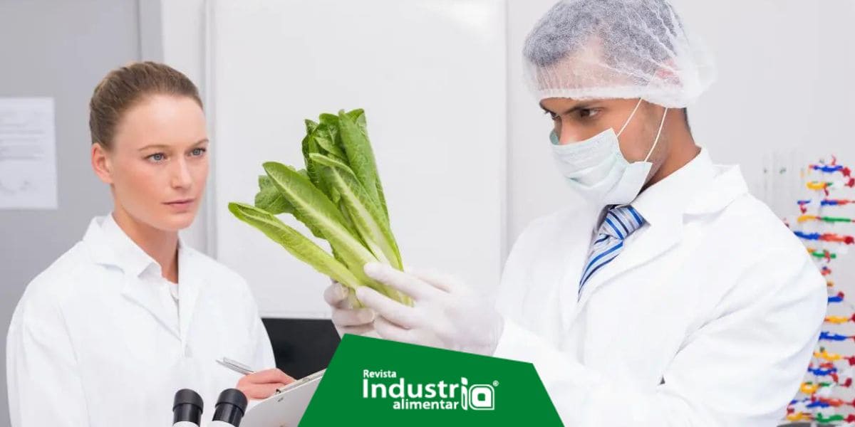 Los alimentos transgénicos y su seguridad, según la ciencia