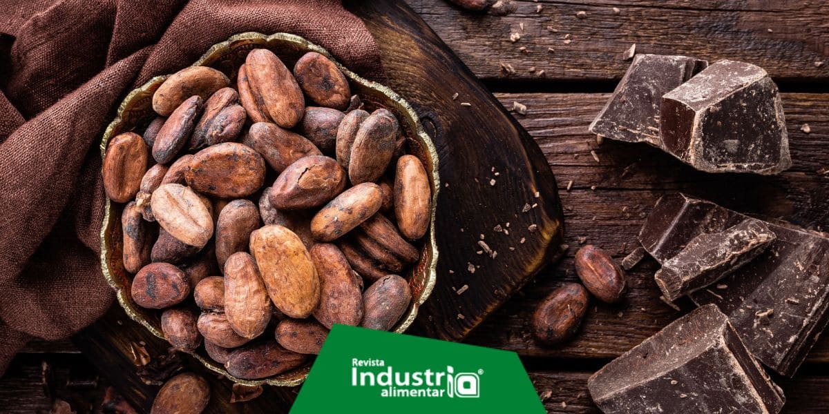Los microorganismos mejoran la calidad del cacao