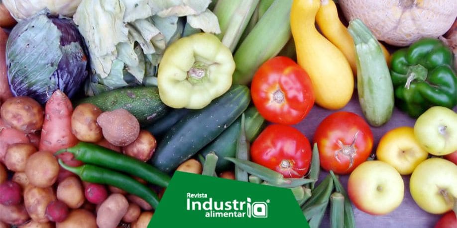 Métodos más utilizados para determinar la vida útil de los alimentos