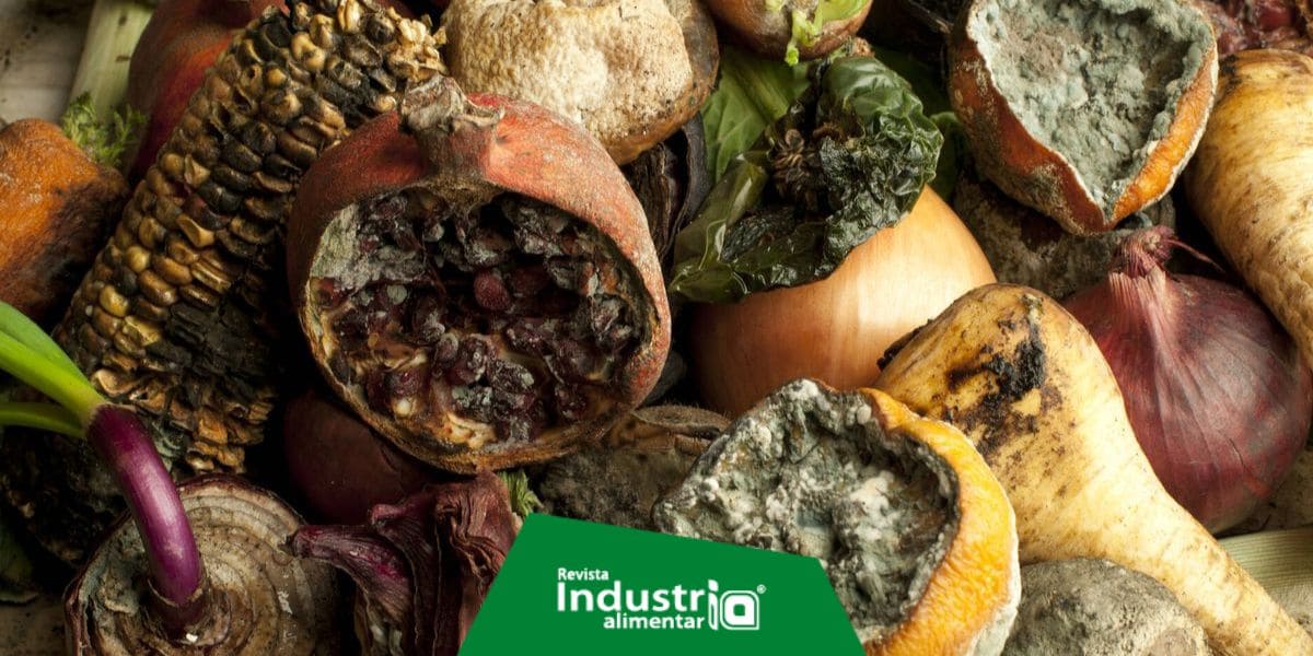 Microorganismos: causantes del deterioro de alimentos