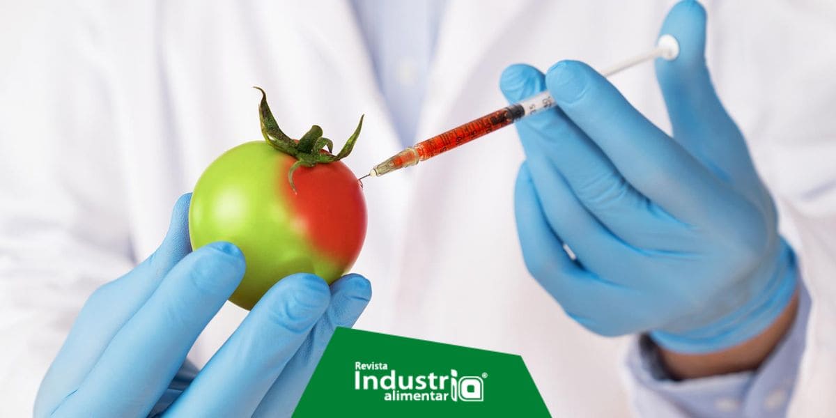 Organismos genéticamente modificados: ¿Qué son y por qué son importantes?