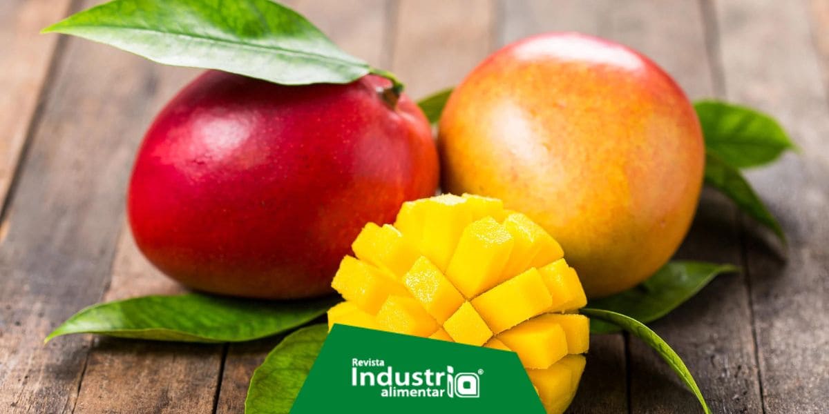 Perú ahora impulsará el mango ‘listo para comer’ para atraer más ...
