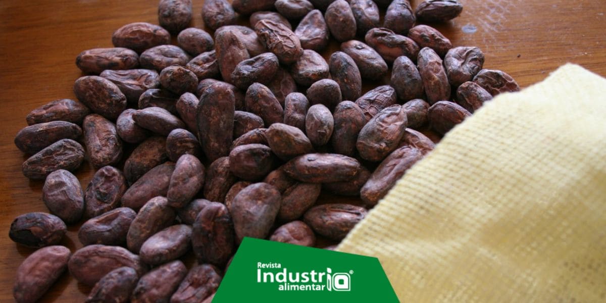 Perú es el cuarto mayor proveedor de cacao de suiza