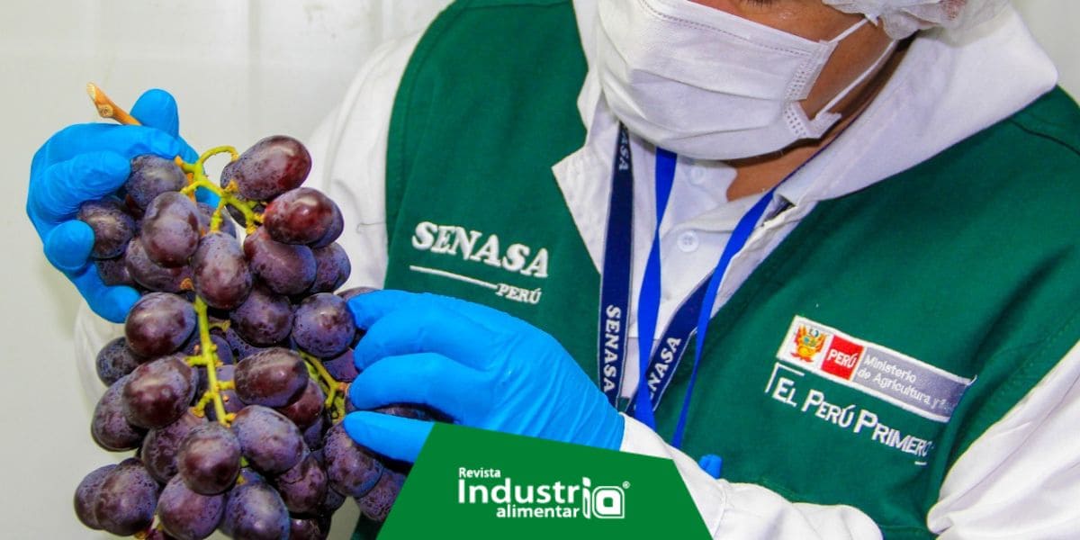 Perú incrementa su producción y oferta de alimentos inocuos