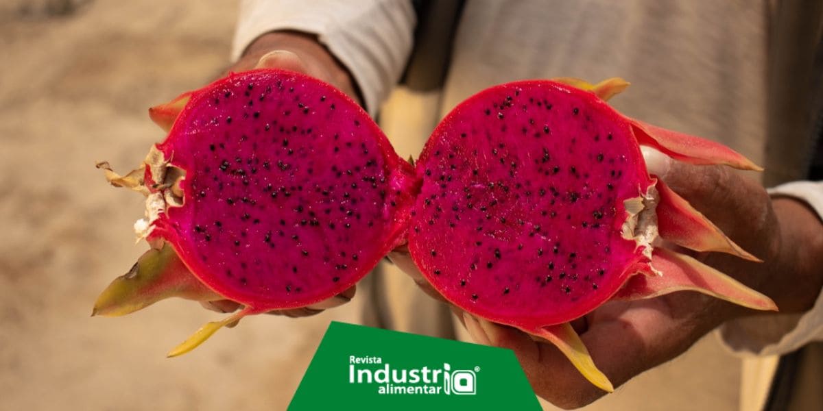 Pitahaya, la exótica fruta, ya ‘invadió' toda la costa del Perú: cuánto ...