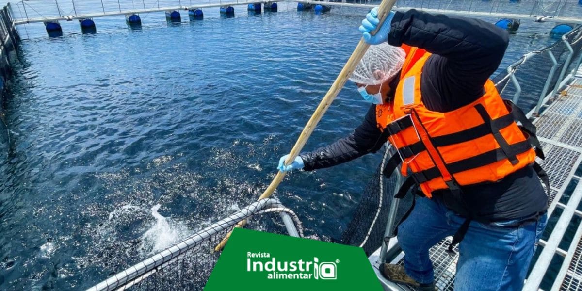 Produce: El Perú será el quinto mayor productor acuícola de la región ...