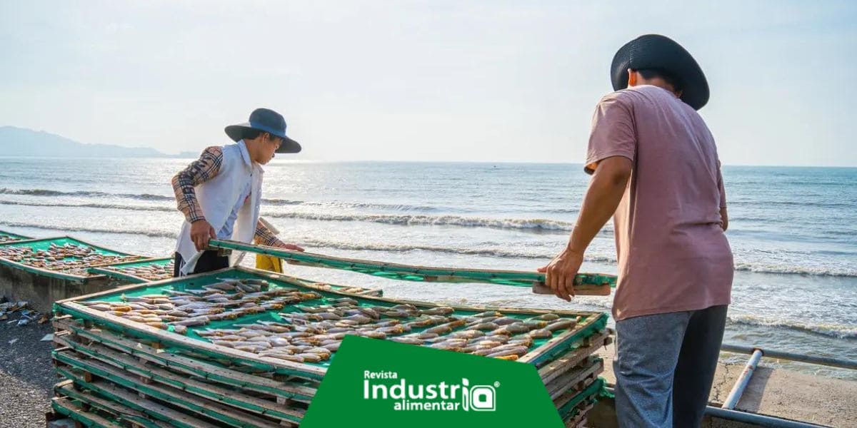Productos pesqueros sostenibles y su certificación con etiquetas ecológicas