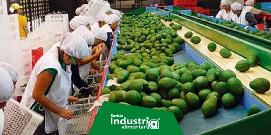 Récord: Agroexportaciones peruanas sumaron US$ 8.874 millones en 2021 ...
