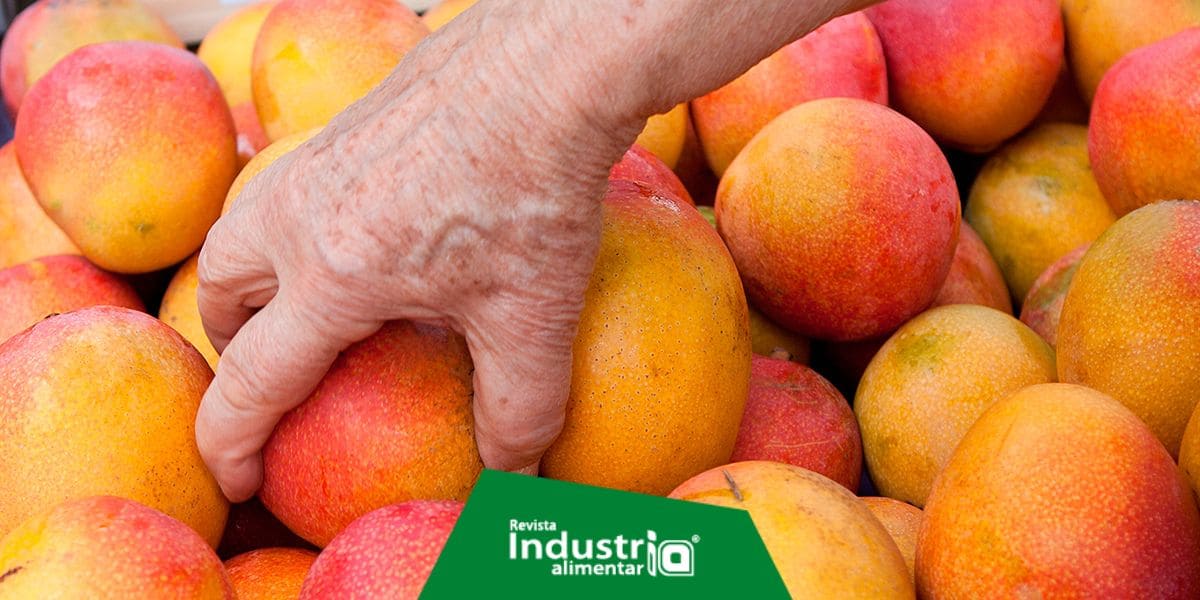 SH Pratt compra división de Ripe Now y se hace de copropiedad de finca ...