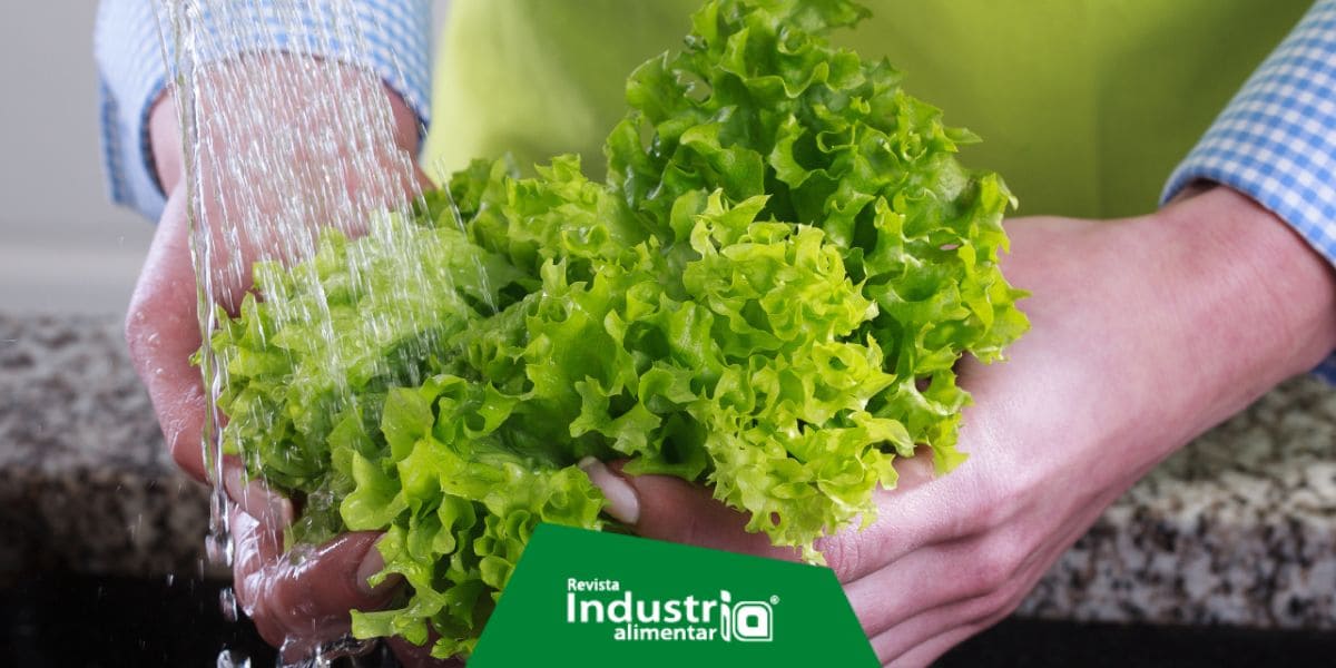 Seguridad e inocuidad alimentaria: ¿oportunidad o desafío para las ...