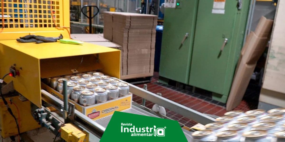 Soluciones de automatización en envases: mejora de la eficiencia y ...