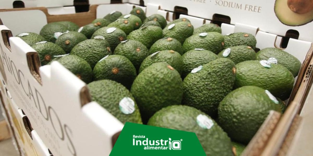 Tecnología y calidad de la palta en Perú