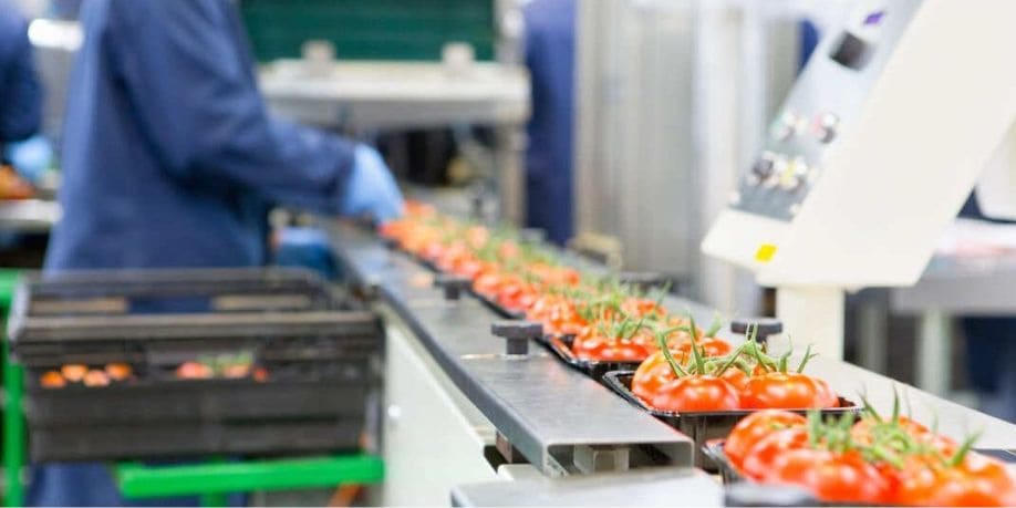 Transformación digital: la clave para la eficiencia en la producción de ...