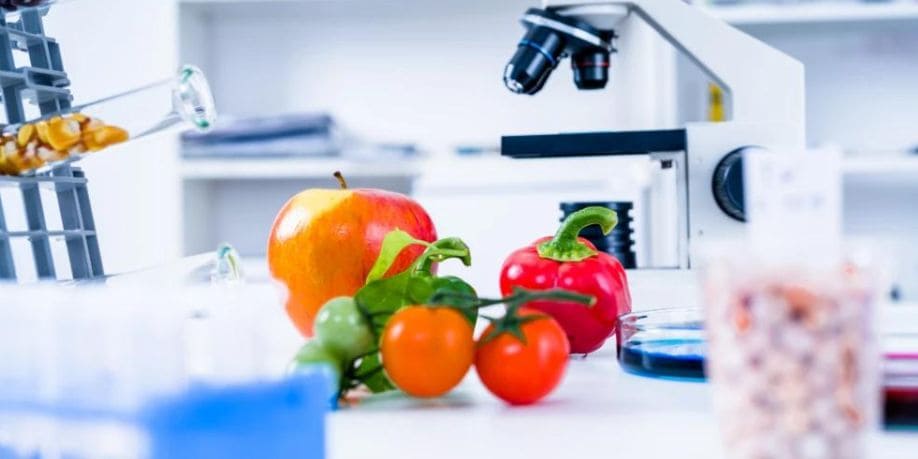 Startup chilena crea el primer alimento “hyperfood” de Latinoamérica