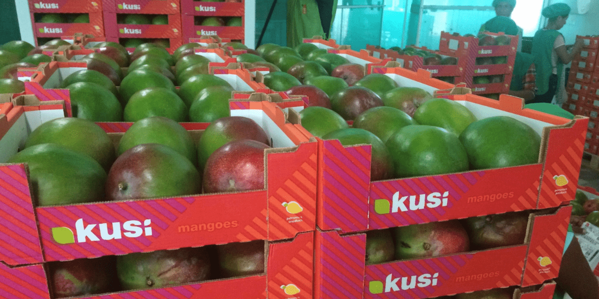 Mejores prácticas de empacado del mango para exportación: Un “Valor ...