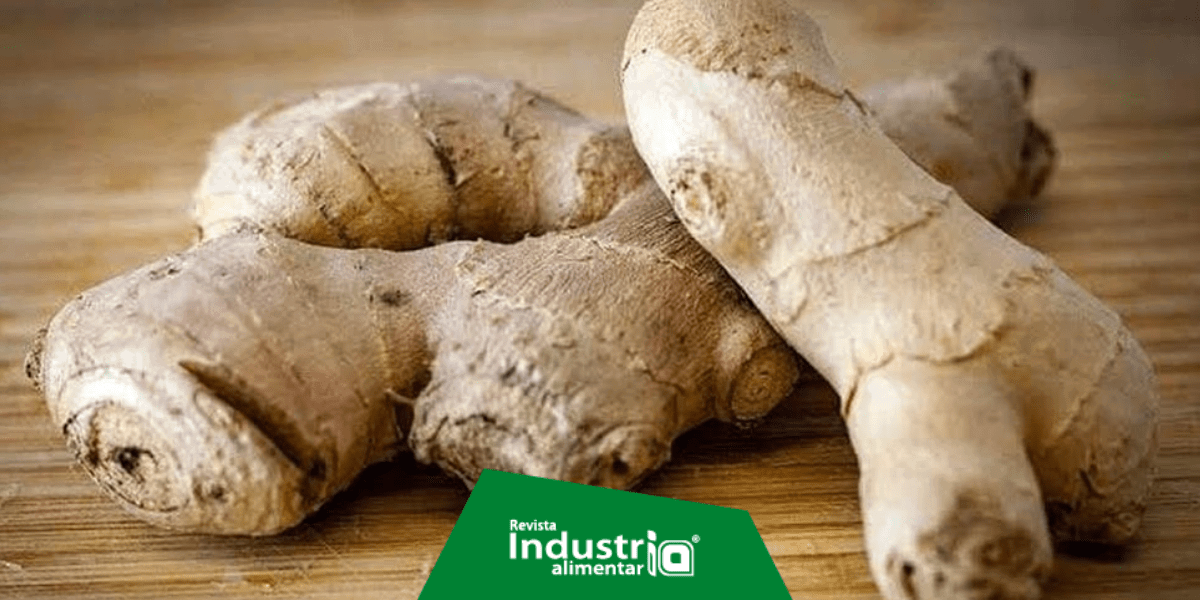 Perú segundo productor de kión en el mundo