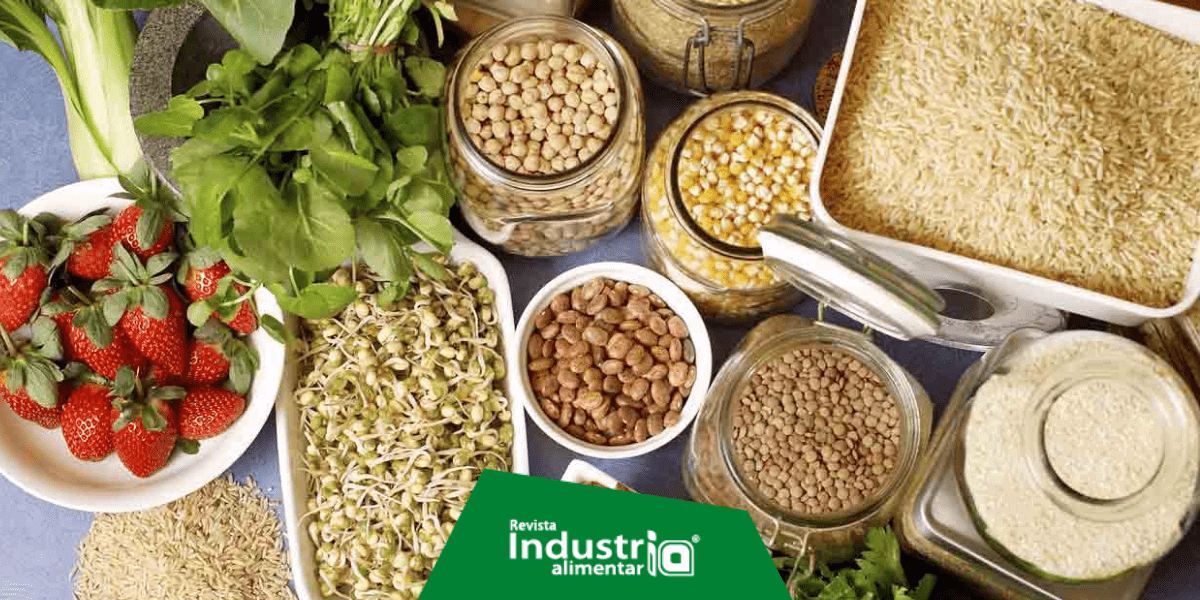 Fibras alimentarias: ¿por qué son importantes en las formulaciones?