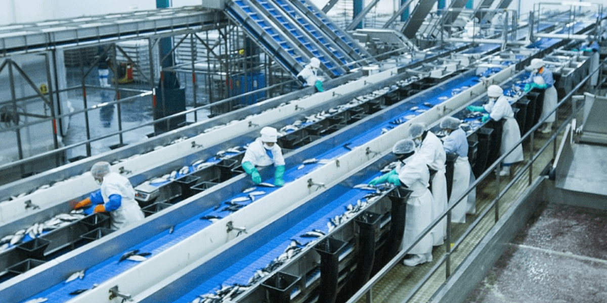 Perspectivas de la industria peruana son más alentadoras para el último ...