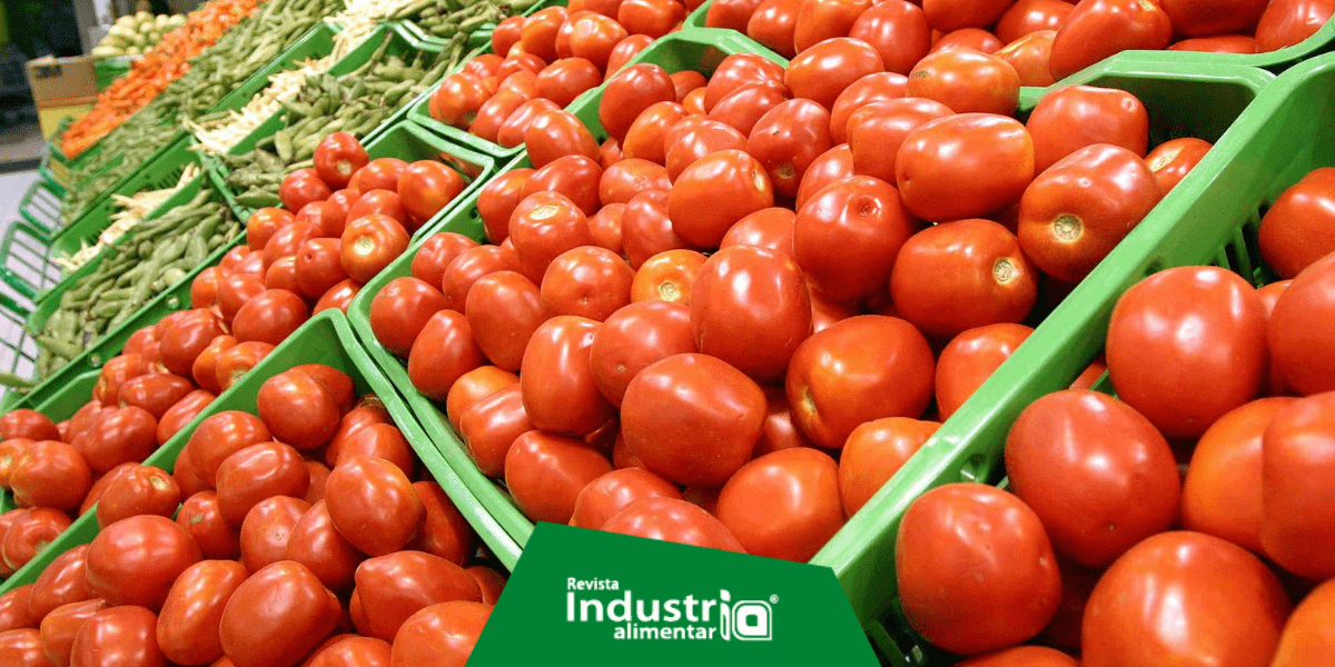 El Perú es uno de los centros de origen del tomate